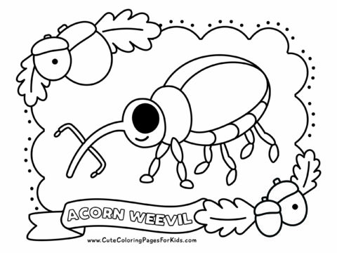 Insect Coloring Pages (12 Cute Bug Pictures to Color) - Cute Coloring ...