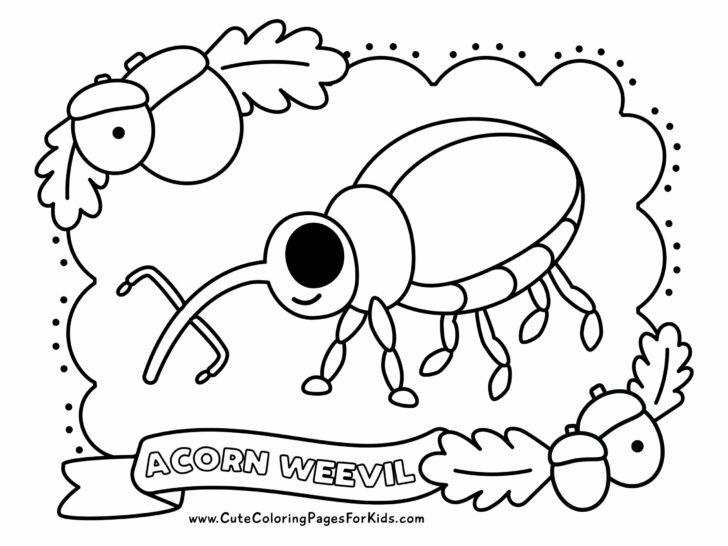 Insect Coloring Pages (12 Cute Bug Pictures to Color) - Cute Coloring ...